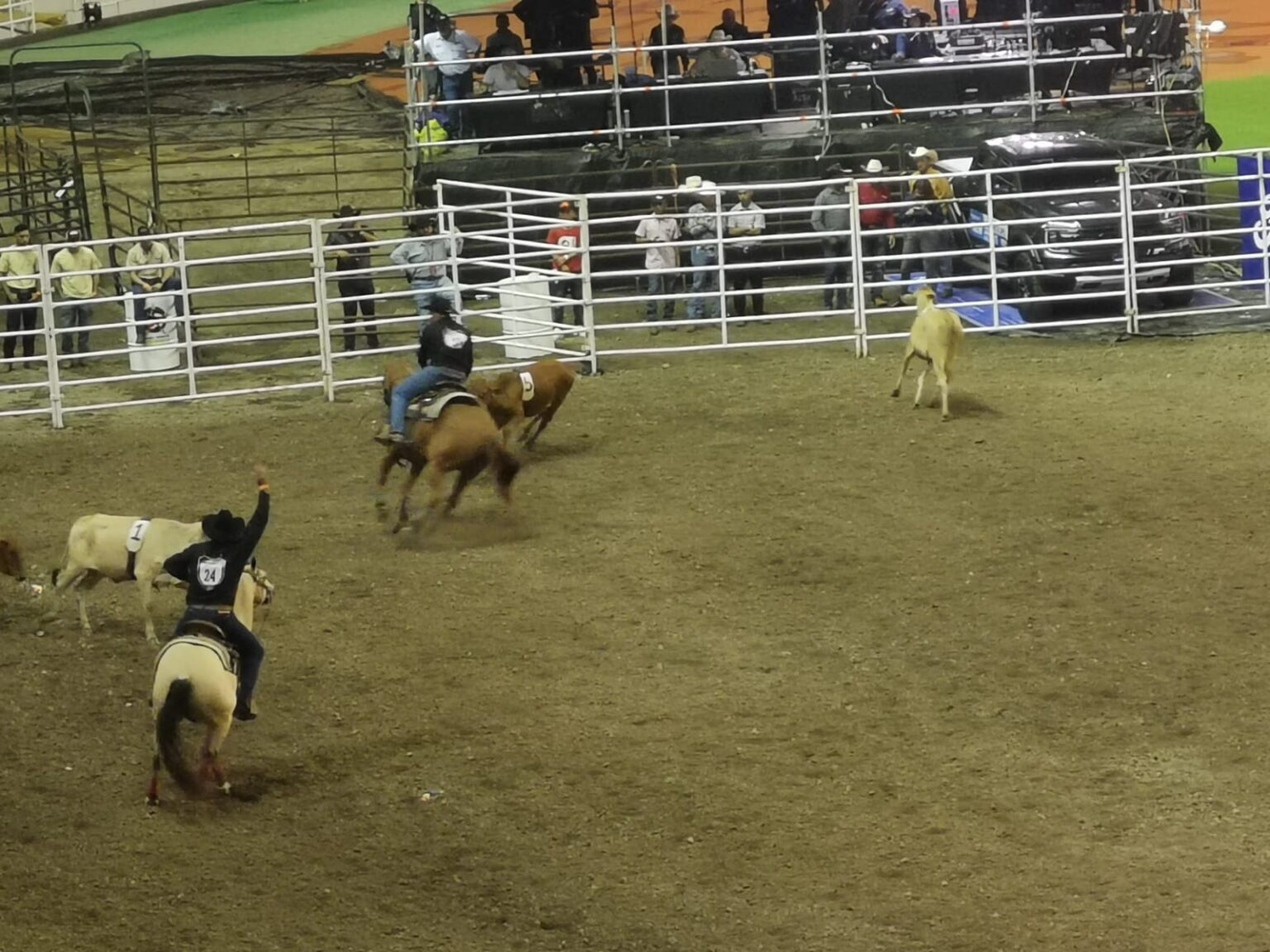Extreme American Rodeo cuenta las horas para un evento único y ...