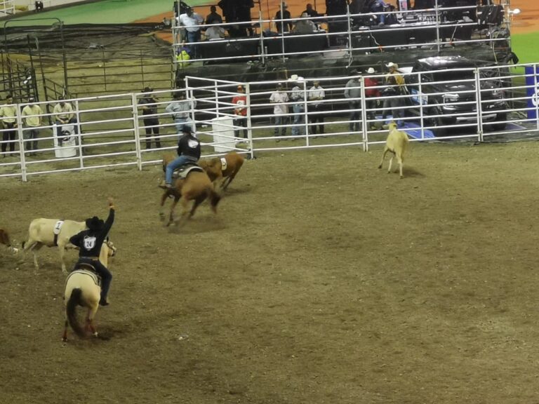 Extreme American Rodeo cuenta las horas para un evento único y ...